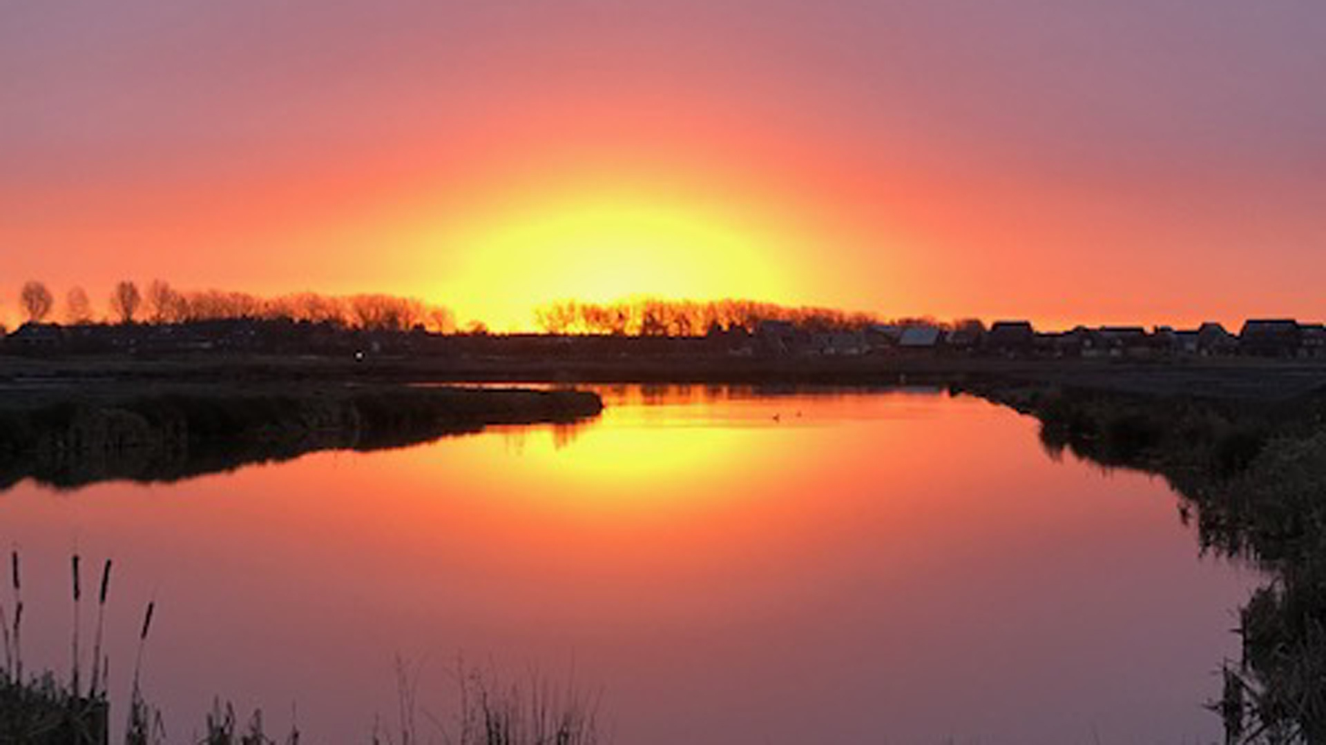 Kom je even nagenieten van die mooie zonsopkomst? - RTV Noord