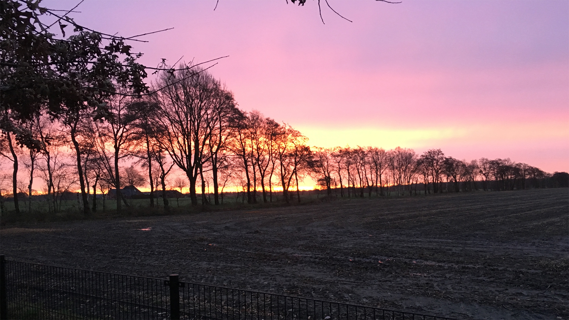 Kom je even nagenieten van die mooie zonsopkomst? - RTV Noord