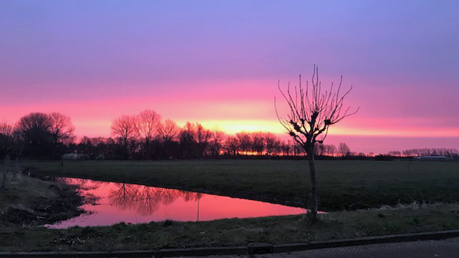 Kom je even nagenieten van die mooie zonsopkomst? - RTV Noord